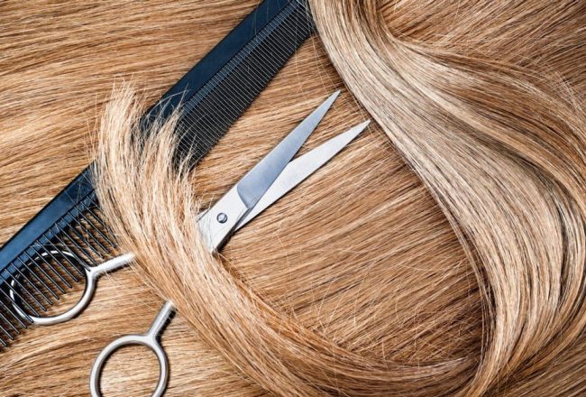 Ultimate Guide to Choosing Professional Hair Cutting Tools for Your ...